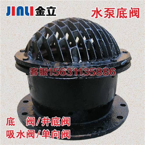 好货H42X-10法兰底阀止回阀 抽水泵吸水底阀DN50 65 80 100 150 2