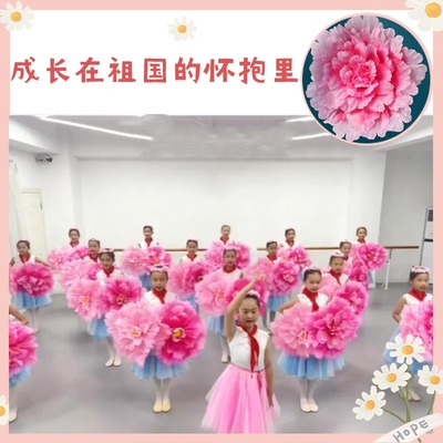 速发成长在祖国的怀蹈里手捧牡丹花运动会入场创意道具手拿抱道具