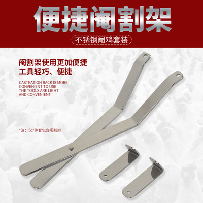 阉鸡工具 大鸡 新型阉鸡工具 不锈钢小鸡公鸡阉割刀 散养阉鸡刀器