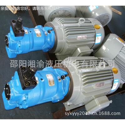 80YCY-YY机B16L-4油泵电32YC0-Y160L-Y80YCY-YY4邵阳维克液压泵