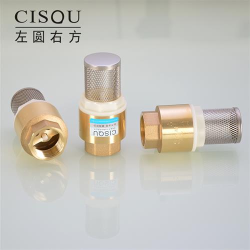 好货4/6分1寸黄铜底阀水泵阀止回阀水单向阀止逆阀内螺纹抽水机花