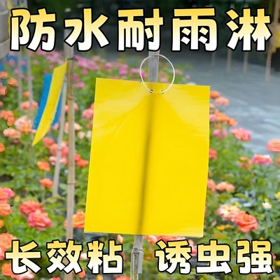 露地粘虫板双面粘虫板果园大棚菜园防虫神器小飞虫防虫贴诱虫板
