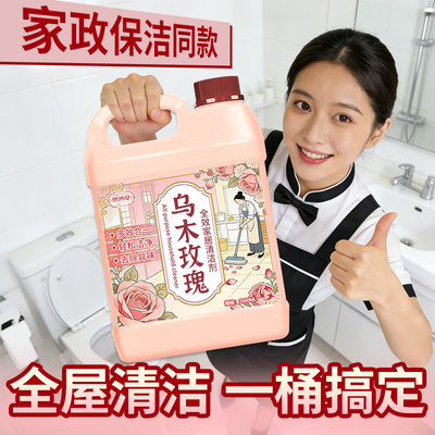家政保洁专用清洁剂强力去污乌木玫瑰香氛多效清洗剂去除污垢陆
