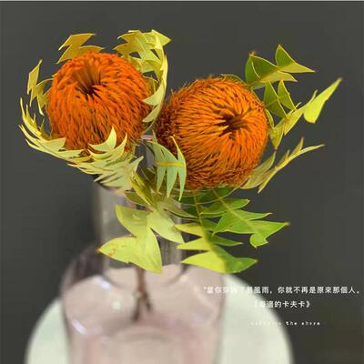 班克木佛塔公主干花贝克斯进口天然真花高端花材家居花束装饰花