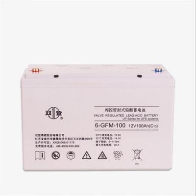 双登铅酸蓄电池6-GFM-100直流屏12V65AH 12V100AH 12V200AH储能型