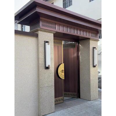 别墅乡村院落乡村门建筑自建房屋双门院落门不锈钢门雨棚铜门