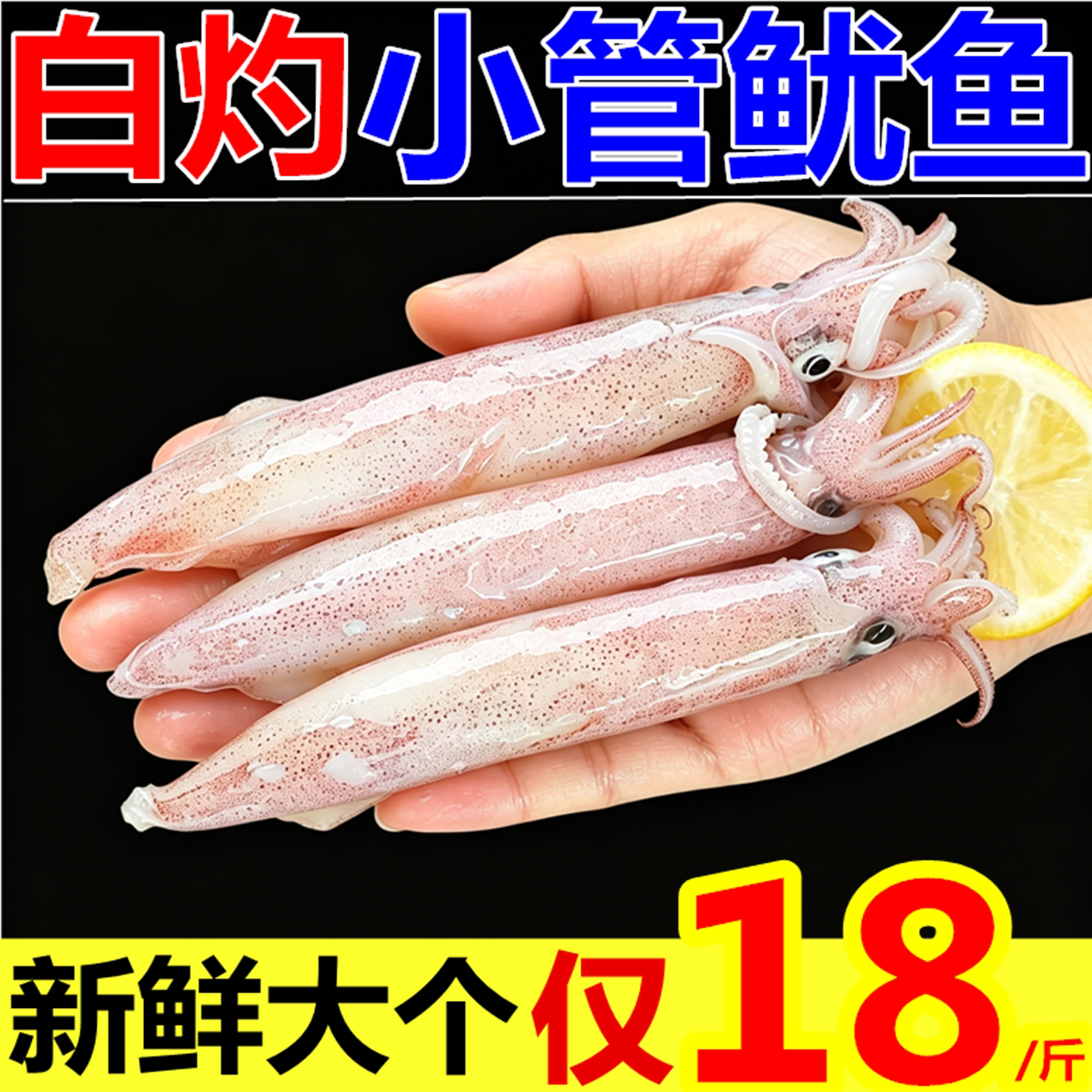 小管鱿鱼白灼鱿鱼生鲜新鲜大鱿鱼大管笔管小乌贼海鲜水产鲜活