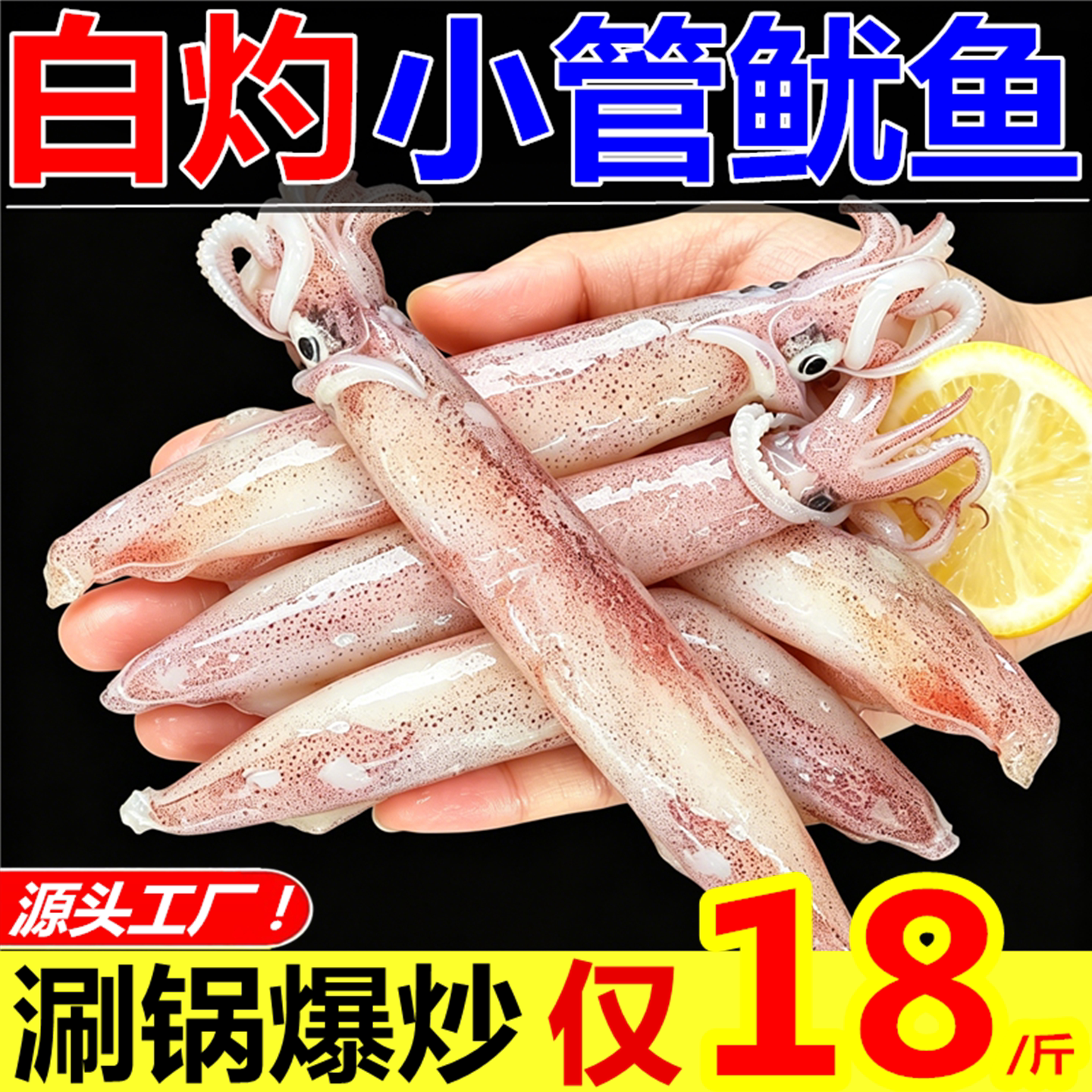 小管鱿鱼白灼鱿鱼新鲜冷冻大鱿鱼大笔管鱼小乌贼海鲜水产生鲜鱿鱼