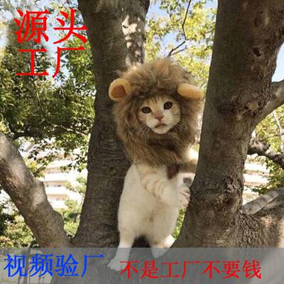 万圣鬼节装扮猫咪狗狗卖萌通用可调节魔术贴秋冬狮子变身宠物帽子