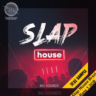 S107 Slap House Vol.1 (HighLife Samples)采样音乐制作音源编曲