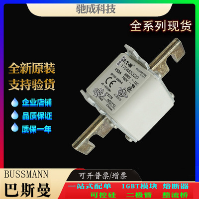 巴斯曼170M3329 170M3358 170M3359 大量现货厂价销售 特种保险丝