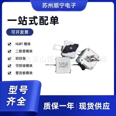 170M6792  170M6793  170M6794 熔断器保险丝 全新原装 型号齐全