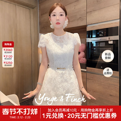 扬芬缇蕾丝收腰连衣裙女中长款