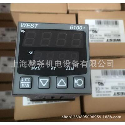 P6100-2210002智能仪表现货销售