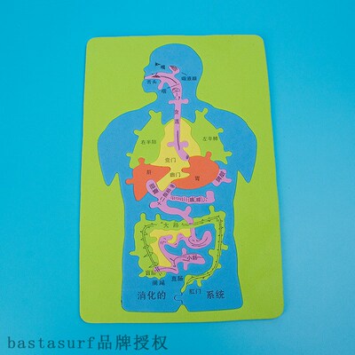极速Kindergarten science experiment DIY digestive system hum