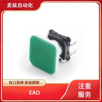 02-810.001B 杠杆开关 K704.631.1535 操作杆 EAO