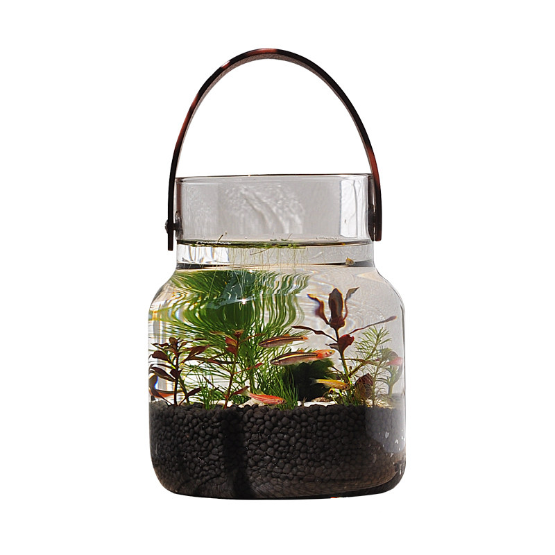 好货生态瓶微景观鱼造景DIY小鱼缸水族办公桌面客厅创意观赏免换