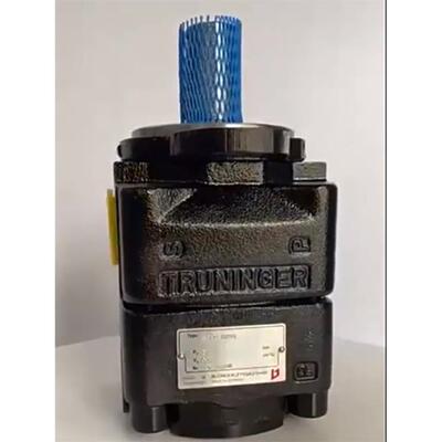 布赫BUCHER齿轮泵QXV22-005RQX23-006R09QXV42-020R全新