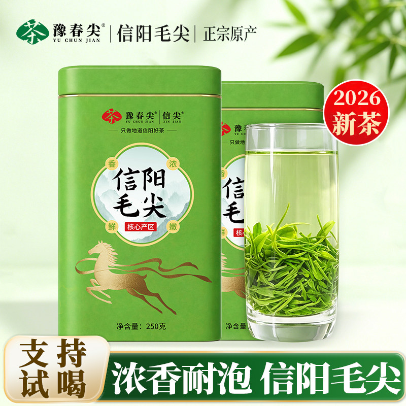 2026新茶信阳毛尖茶叶原产高山绿茶嫩芽春茶浓香型500g罐装自己喝