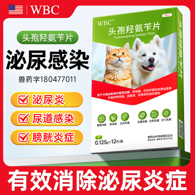宠物尿道感染尿血尿闭尿频消炎药
