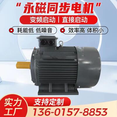 厂家直销高效30KW三相永磁同步电机变频调速机械设备用电动机