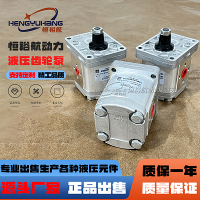 高泰克液压泵Galtech齿轮泵2SP-A-140-D-EUR-B-N-10-0-N液压油泵