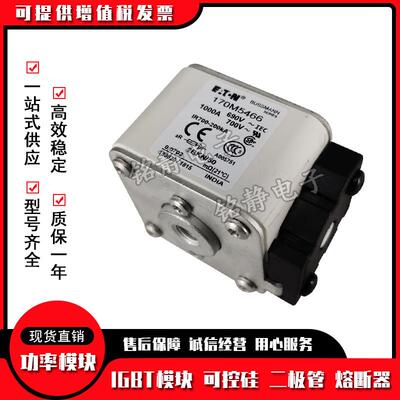 170M5460170M5461170M5462170M5463巴斯曼熔断器现货170M5464