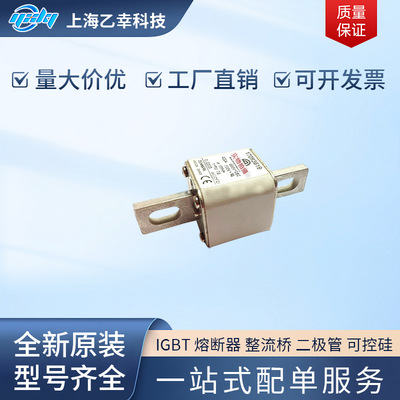 巴斯曼熔断器  170M3961 170M3965 170M3966 170M3967 170M3968
