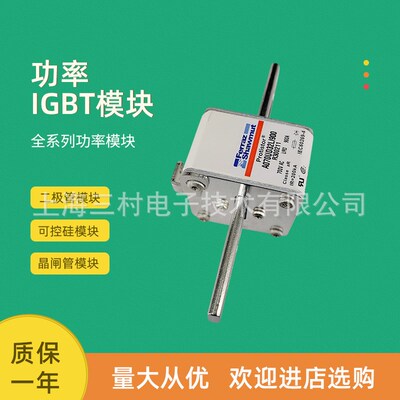 全新熔断器保险丝A070UD30KI100D300130 A070UD30KI125E300131