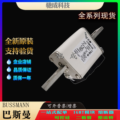 巴斯曼170M5725 170M5732 170M5733 经销批发直销价优 快速熔断器