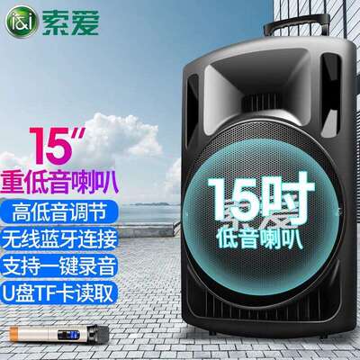 索爱（soaiy）SA-T29户外音箱15吋大功率重低音广场舞音响移动K歌