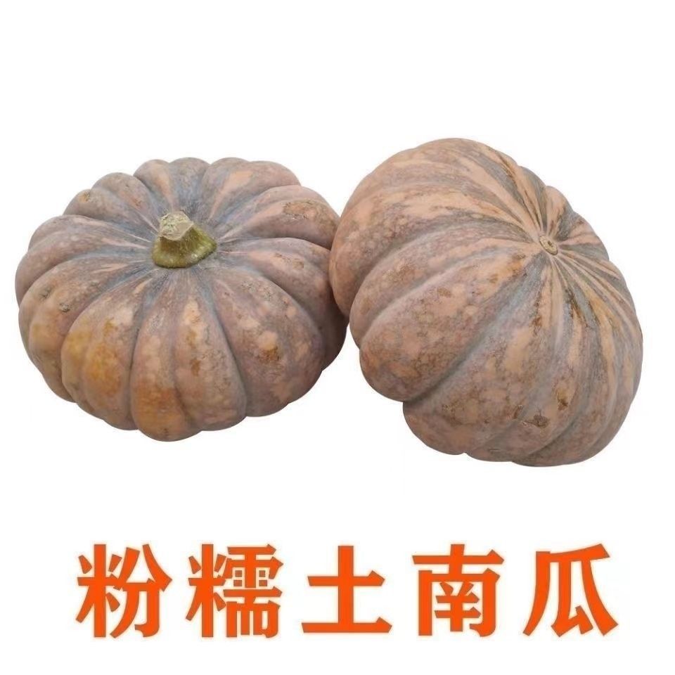 【顺丰】自种老品种磨盘老南瓜装饰品雕刻幼儿园活动熬粥当季新鲜