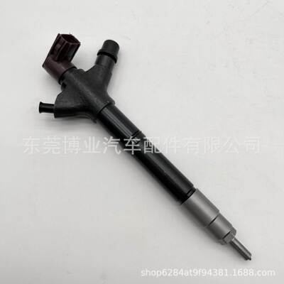 高压共轨 喷油器 295900-0220 适用 1VD-FTV D-4D 发动机