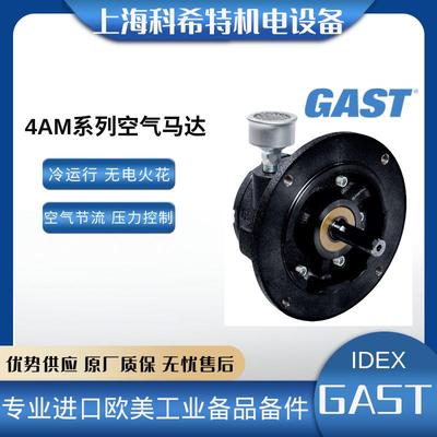 GAST4AM-FRV-63A空气马达冷运行无电火花齿轮电机