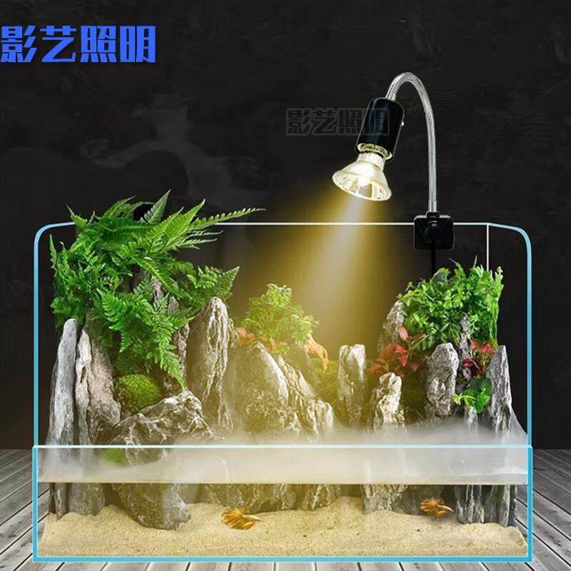 鱼缸造景灯夹水族照明灯架晒背灯PAR2.0补光灯万向软管夹子灯爬宠