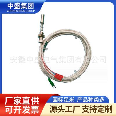 端面热电阻WZPM2-001PT100L=5000双支