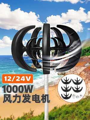 1000W垂直轴风力发电机12V/24V