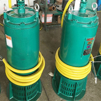 BQS矿用隔爆型潜水排沙电泵 BQS系列潜水排沙电泵
