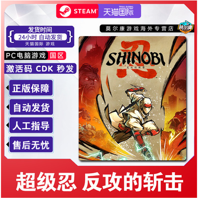 Steam 超级忍 反攻的斩击 Art of Vengeance 国区激活码CDKey