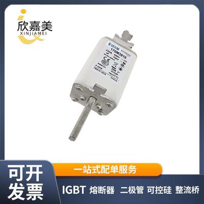 170M3816 170M3816D 170M3817 电子元器件 快速熔断器 现货直发