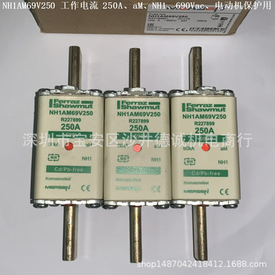 NH1AM69V160 N227896 熔断器 160A、NH1、aM、690Vac、电动机保护