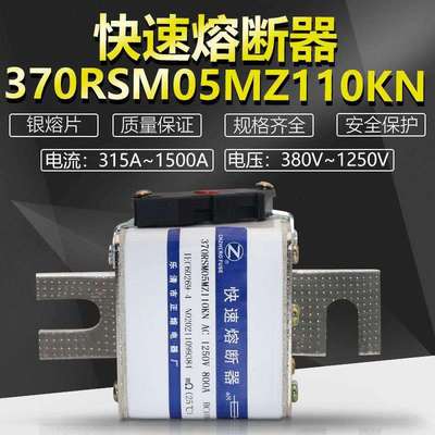 370RSM05MZ110KN/TN690V700V900V1000V1250V熔断器DC440V/700V
