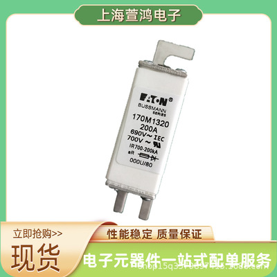 170M2718 170M2719 170M2720 170M2721 原盒 低压熔断器电流保护