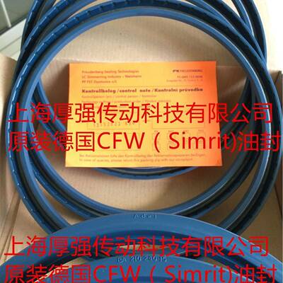 德国CFW/SimrWKXit科德宝FREUDENBERG油封AcFw1BA210-240-15NBR