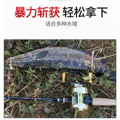 雷强竿黑鱼竿中重轻o雷超硬水滴轮鼓轮单竿xhR打黑杆路亚竿套装