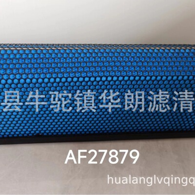 厂家直销蜂窝空气滤清器 P610260