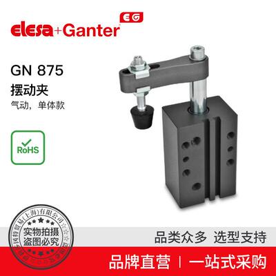 ElesaGanter伊莉莎冈特GN875摆动夹带或不带夹紧臂带槽孔