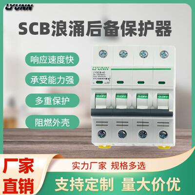 直销浪涌SCB后备保护器一级后备保护器