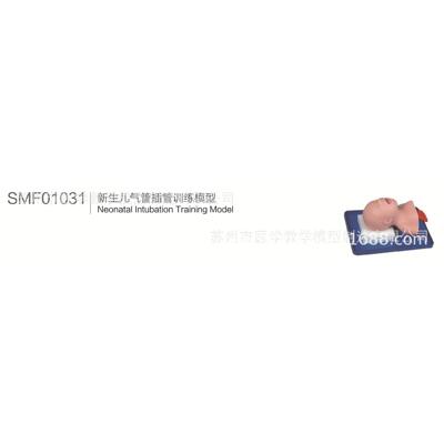 SMF01031新生儿气管插管训练