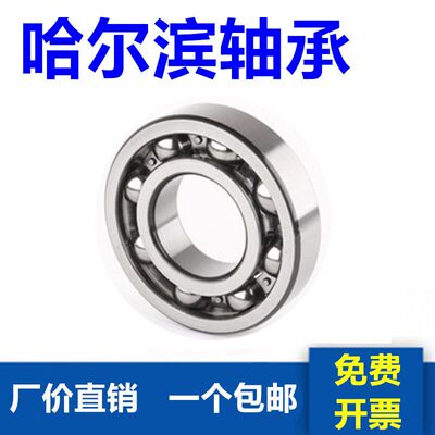 哈尔滨轴承6317 6318 6319 6320 6322 6324 6326 6328 6330 RZ RS